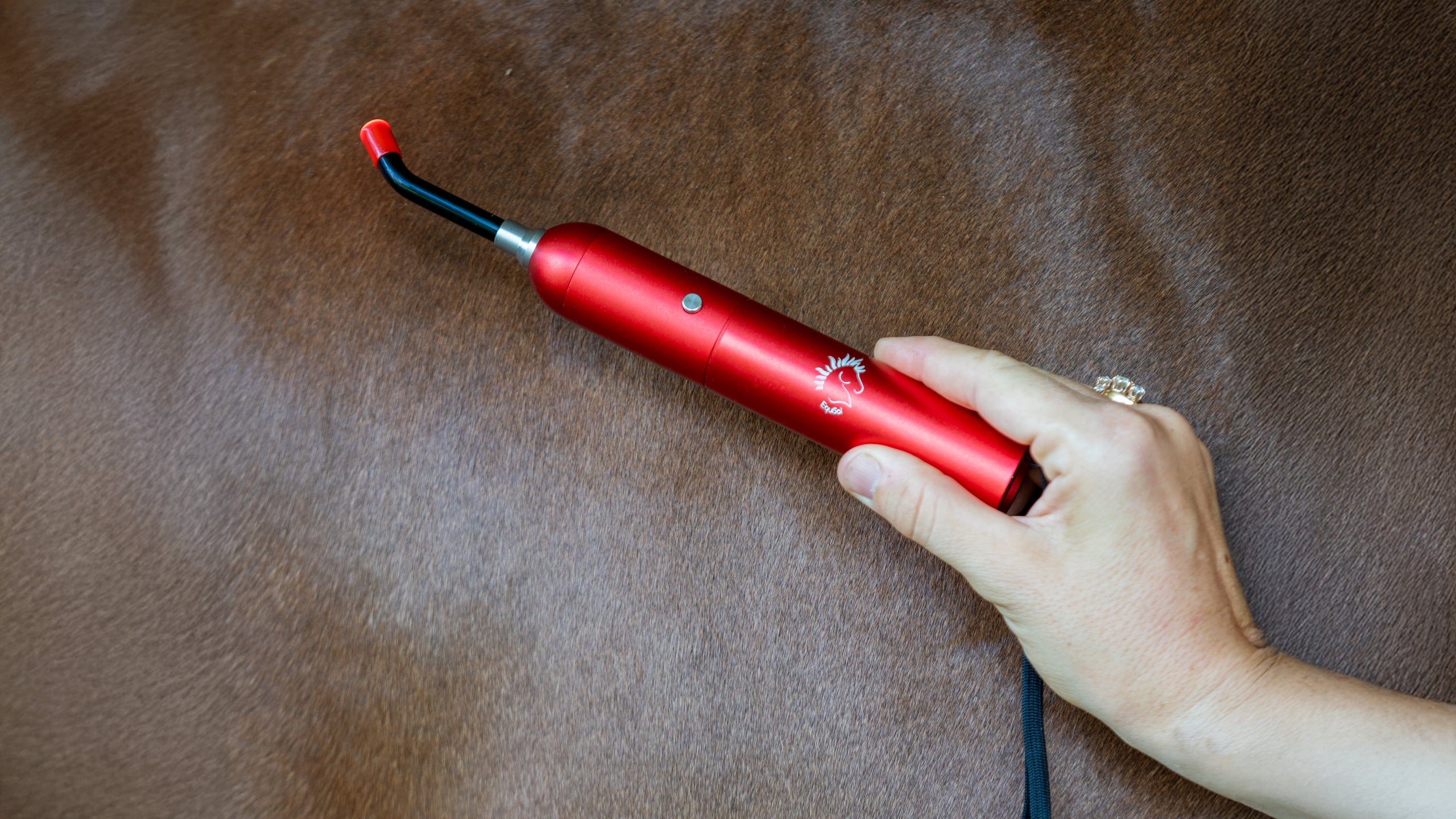 Equisol Therapeutic Red Light for Horses, Dogs, Cats & Pets – EquiSol
