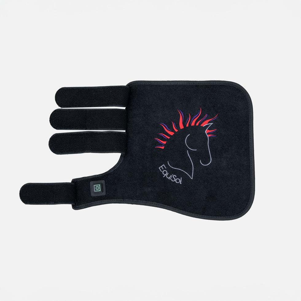 Equisol | Equine & Canine Red Light Therapy – EquiSol